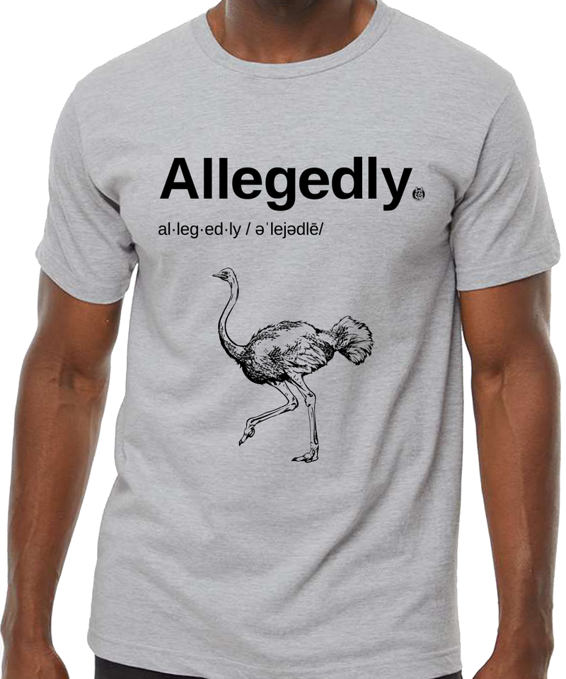 Allegedly T-Shirt Heather Grey Colour | Letterkenny